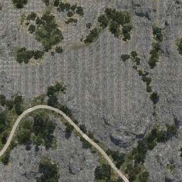 BDO Map by Ossan-gamer.net