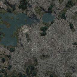 BDO Map by Ossan-gamer.net